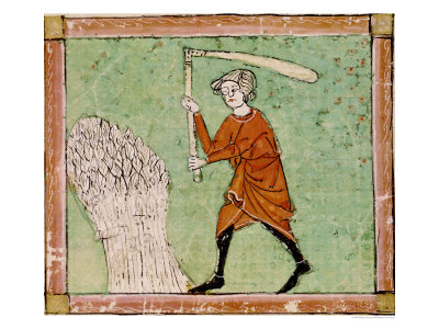 All about medieval English grains – Medieval York: Eulalia Hath a Blogge